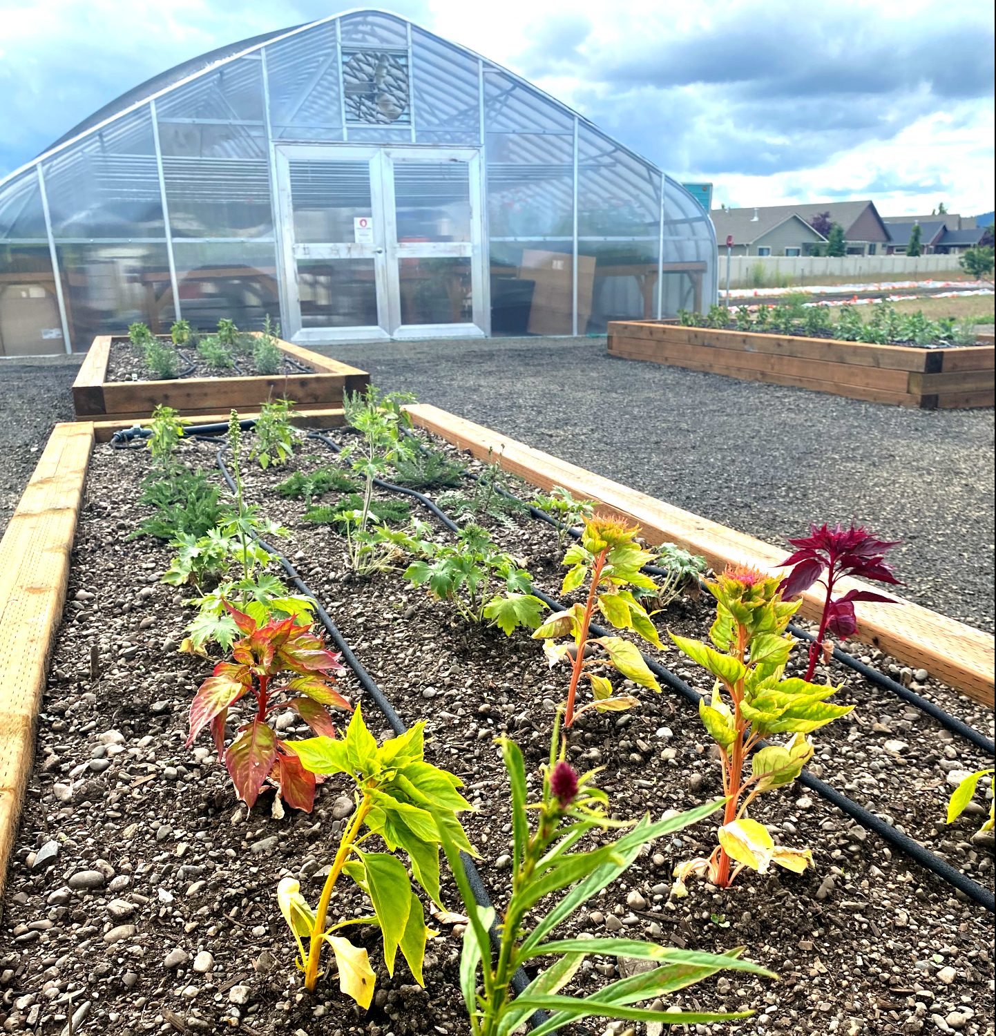 Greenstone's River District Farm - Spokane Valley Chamber of Commerce